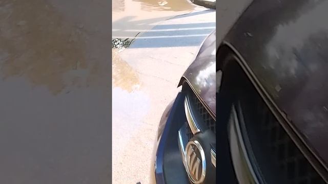 то-ли чайка то-ли Фик поймëш  кто... ответ кто это в предыдущем видео