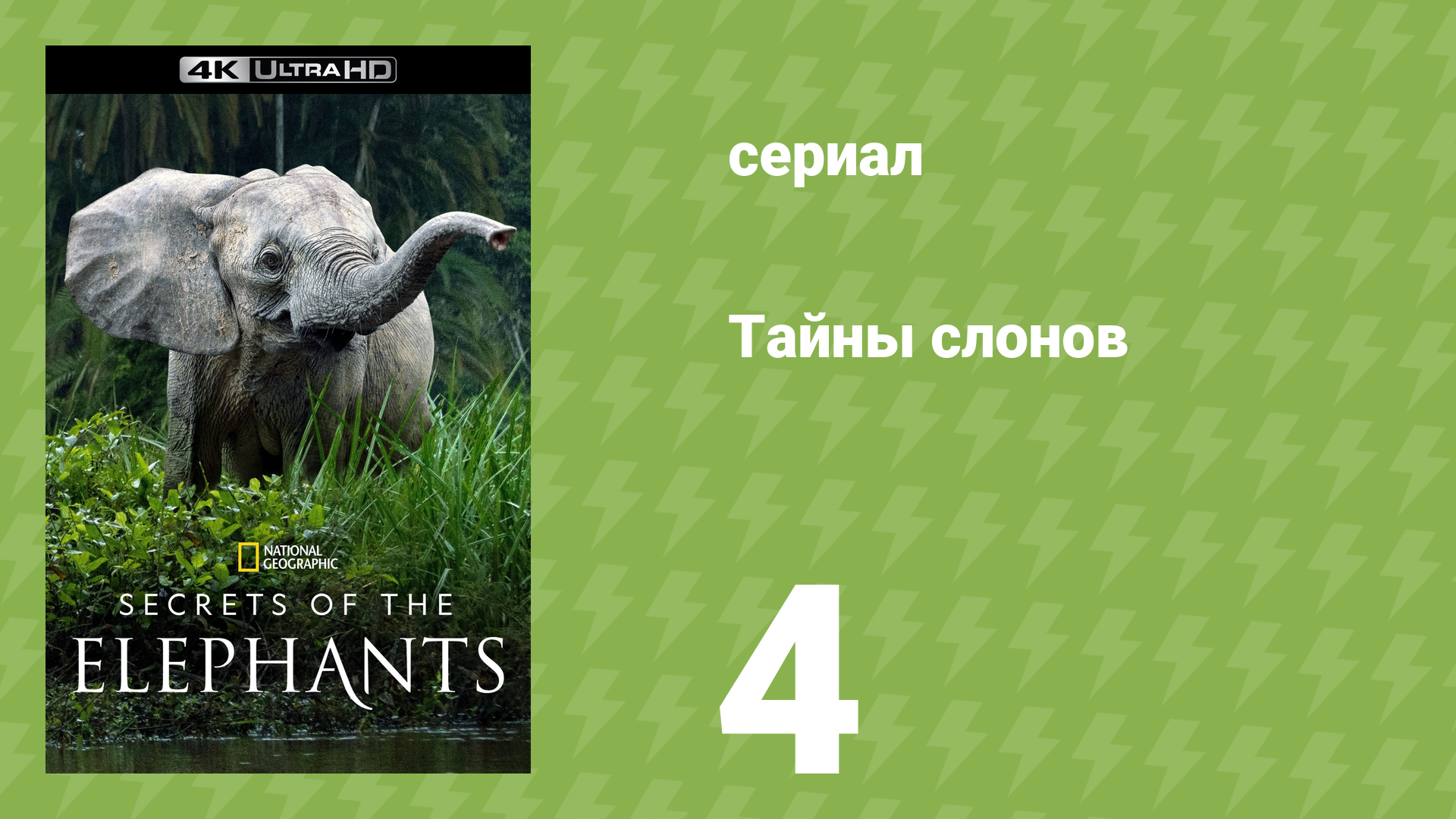 Тайны слонов 4 серия «Азия» (документальный сериал, 2023)