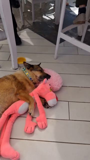 Отдых должен быть запоминающим