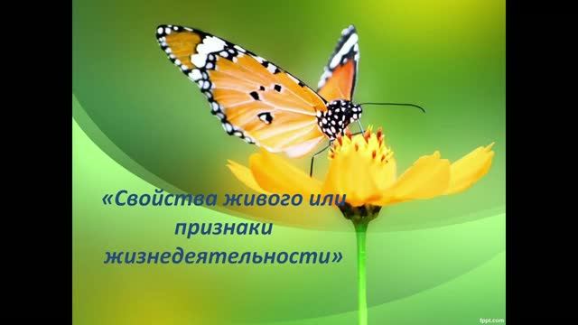 5 кл. Свойства жизни