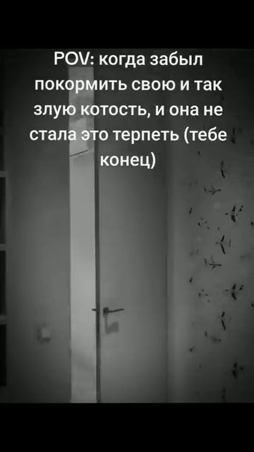 Котость