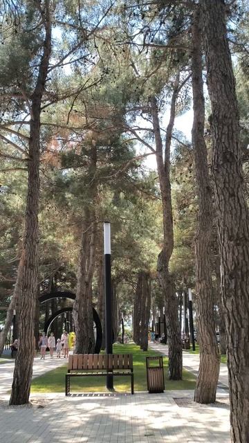 В парке Корницкого. Кабардинка 2026