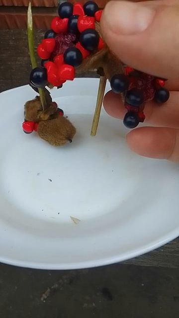 Цветы