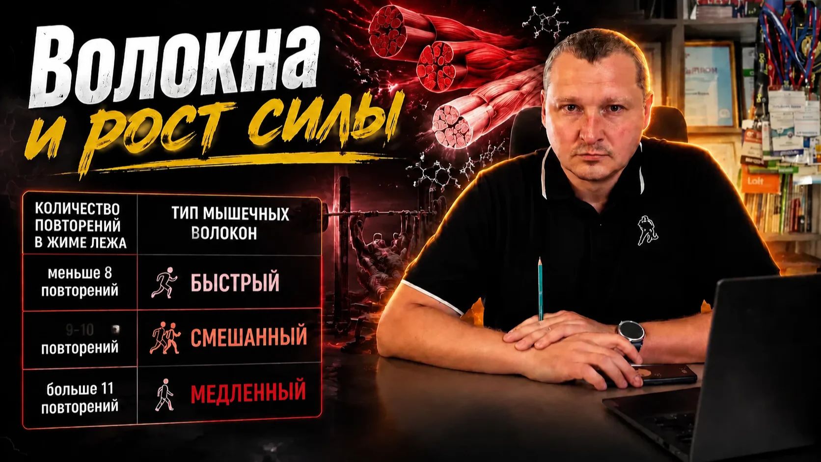 Тип мышечных волокон и рост силы / Обзор эксперимента