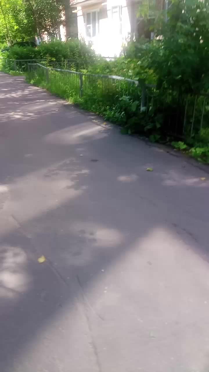 бузланова 2