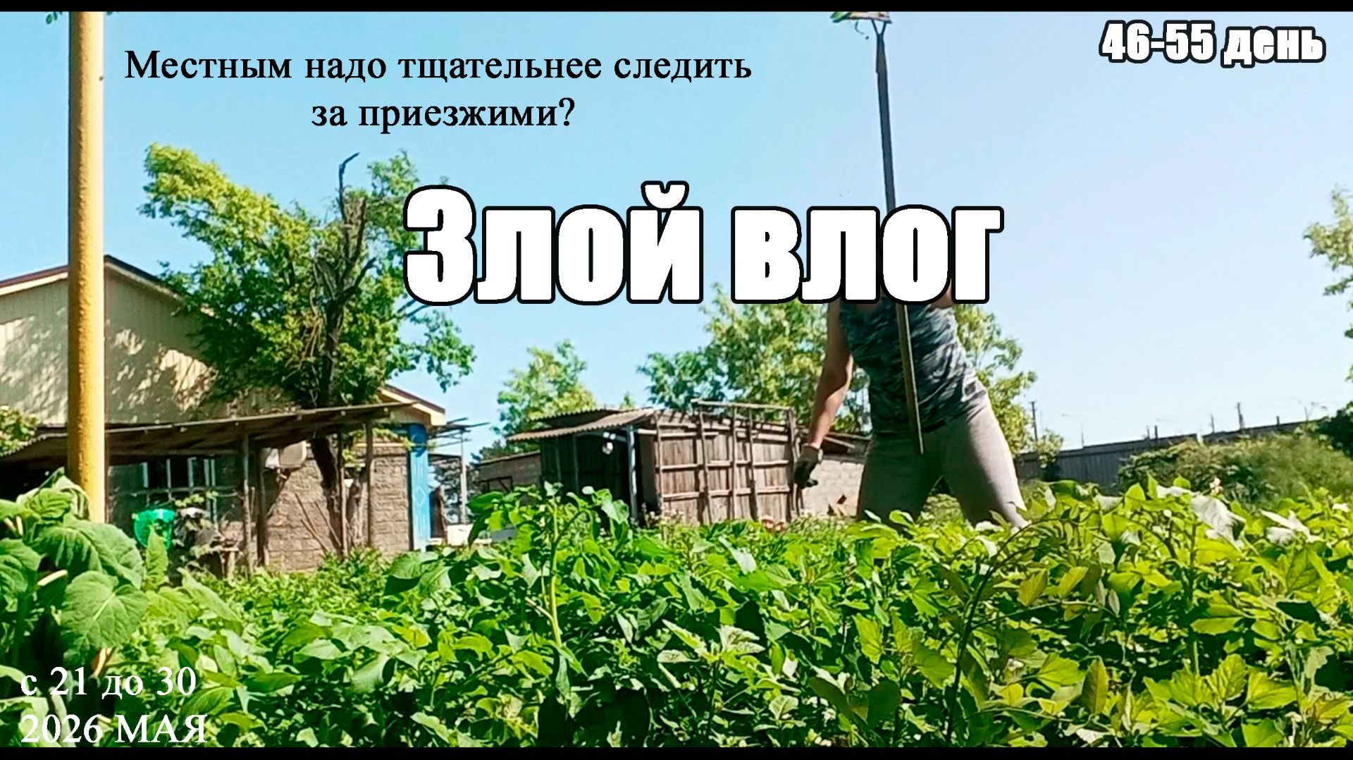 Влоги о нашей семье (Семья в станице)