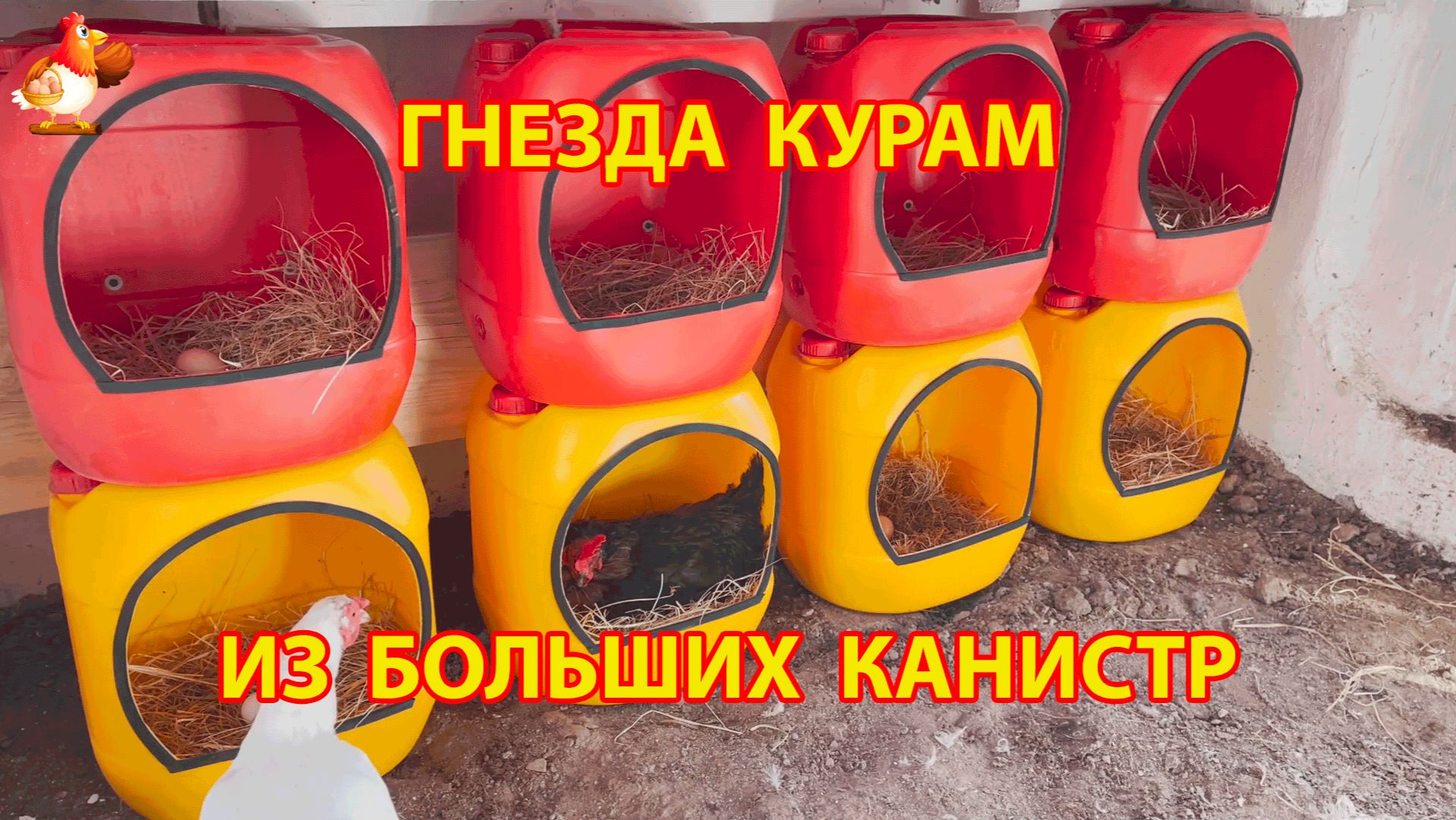 Гнезда для кур несушек