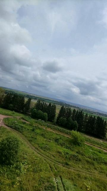 Тренировка у дерева