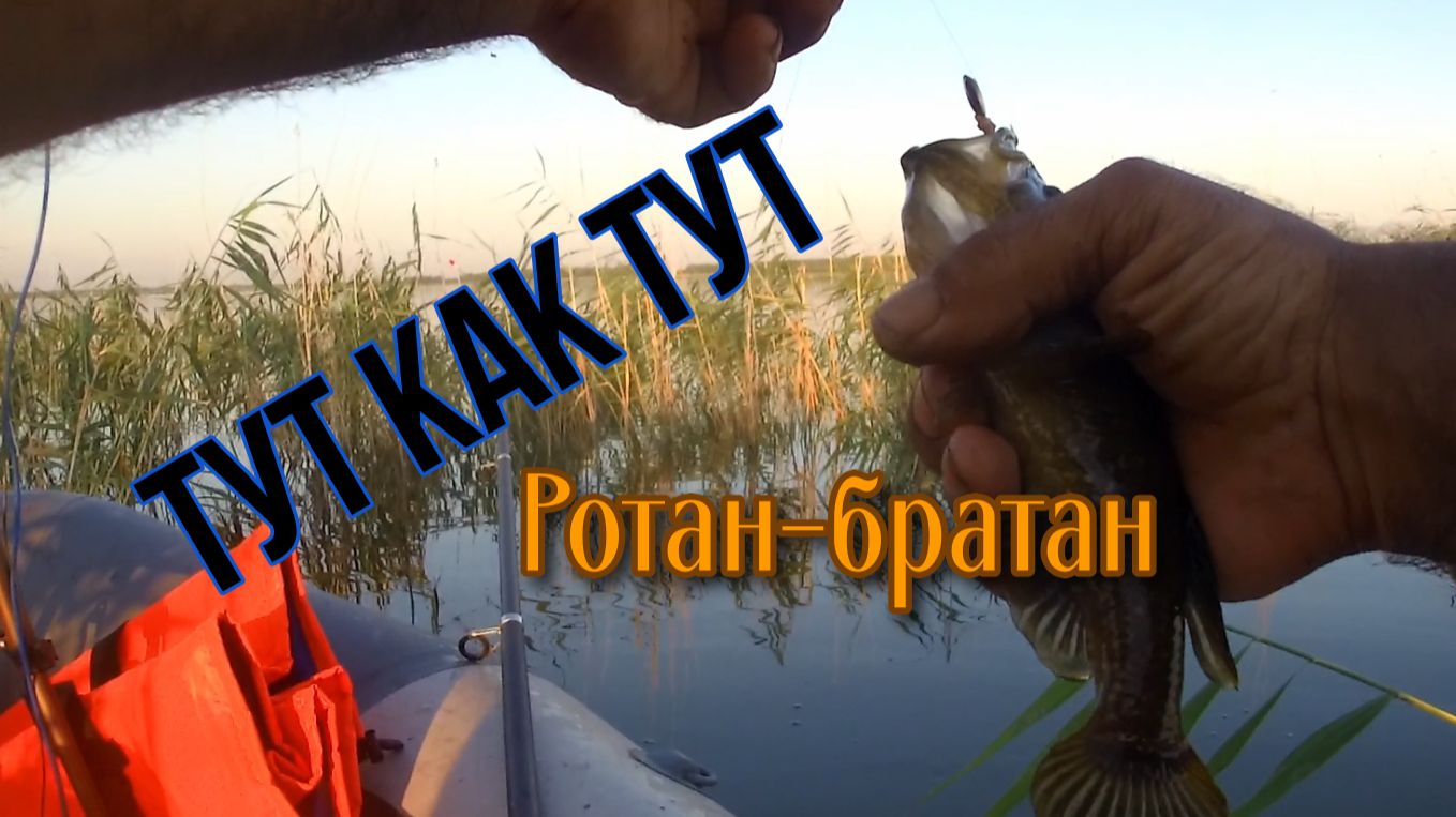 Ловля на поплавочную удочку