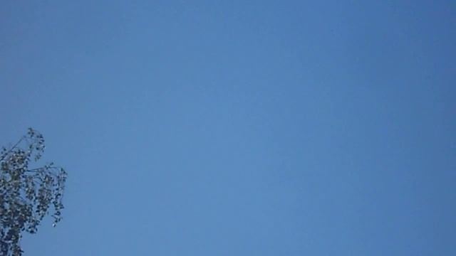Без звука. Стрижи в небе 28 июня 2024. DSCN5568