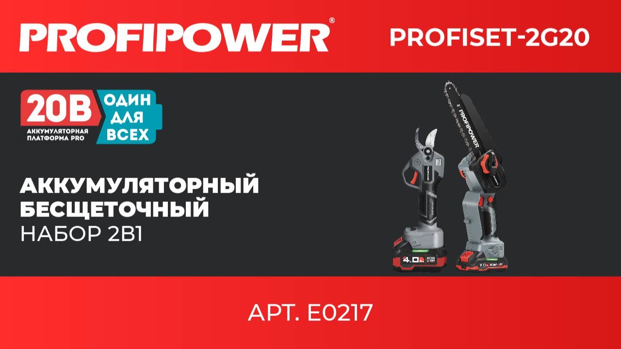 Аккумуляторный бесщеточный НАБОР 2в1 PROFIPOWER ProfiSet-2G20
