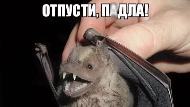 Дача 🏡🏡🏡