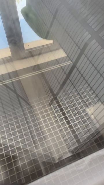DTF производство