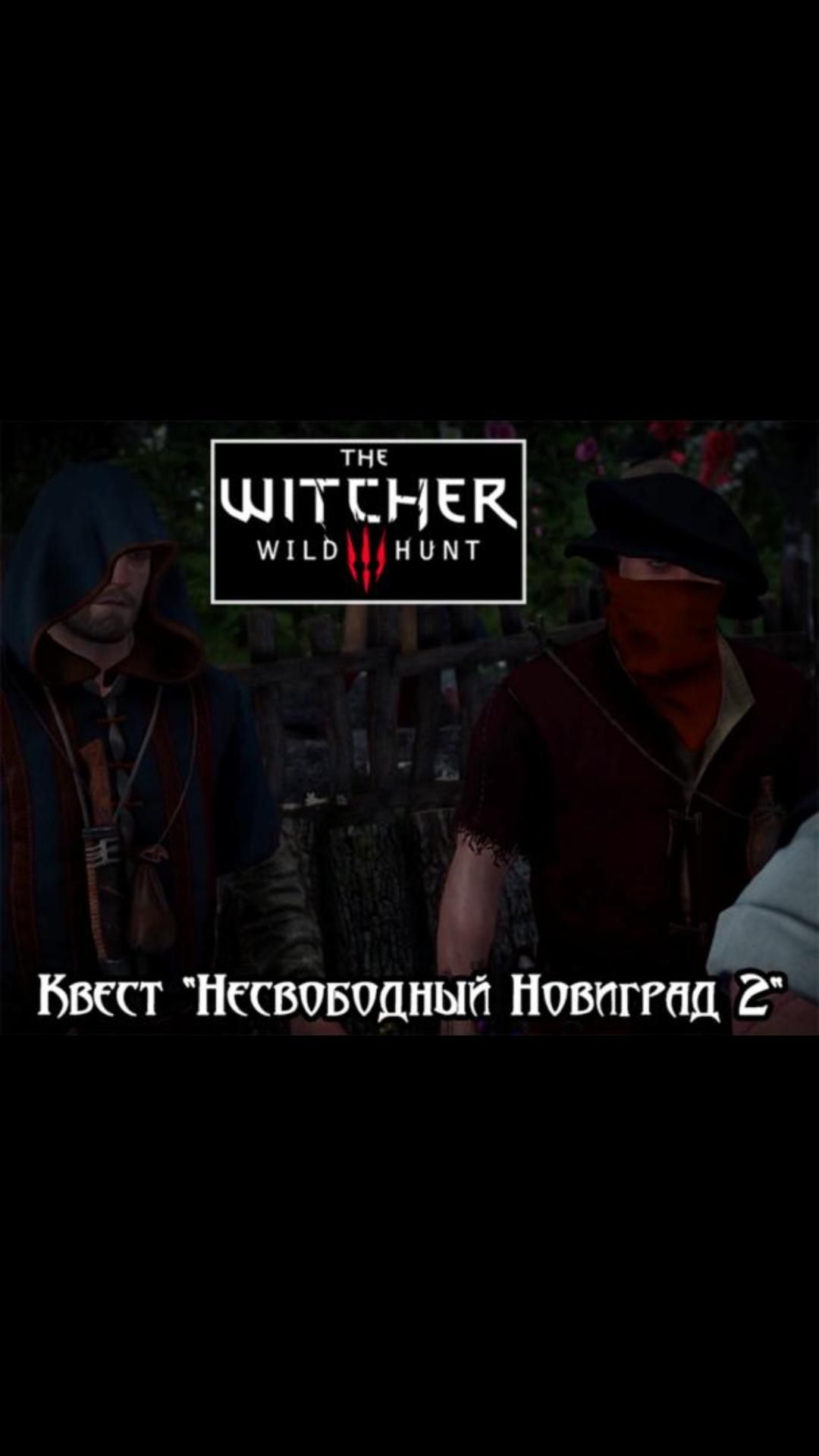 Квест "Несвободный Новиград 2" | #witcher3 #games #rpg