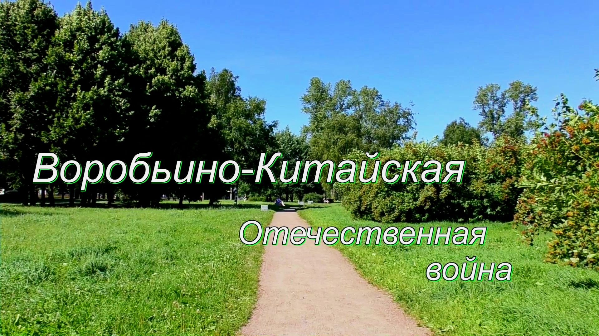 Воробьино-Китайская отечественная война