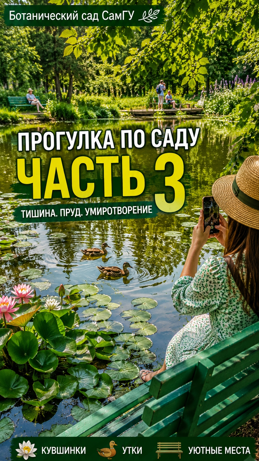 🦆 Тихий пруд с кувшинками и утками | Peaceful Pond with Lilies & Ducks (Часть 3)
