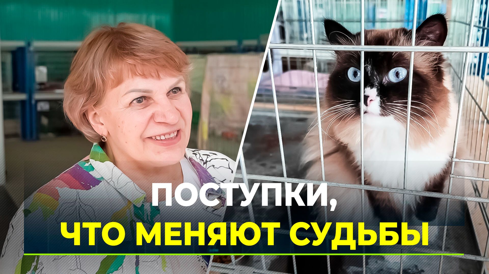 Бездомные животные из ноябрьского приюта обрели новых хозяев