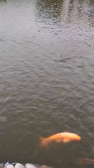 Локации своими глазами