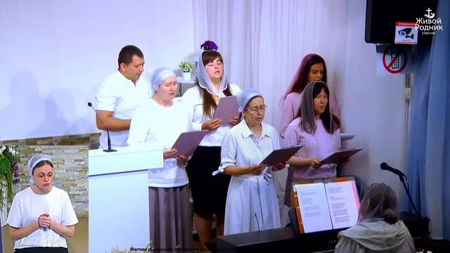 В детстве казалось, что жизнь бесконечной будет всегда