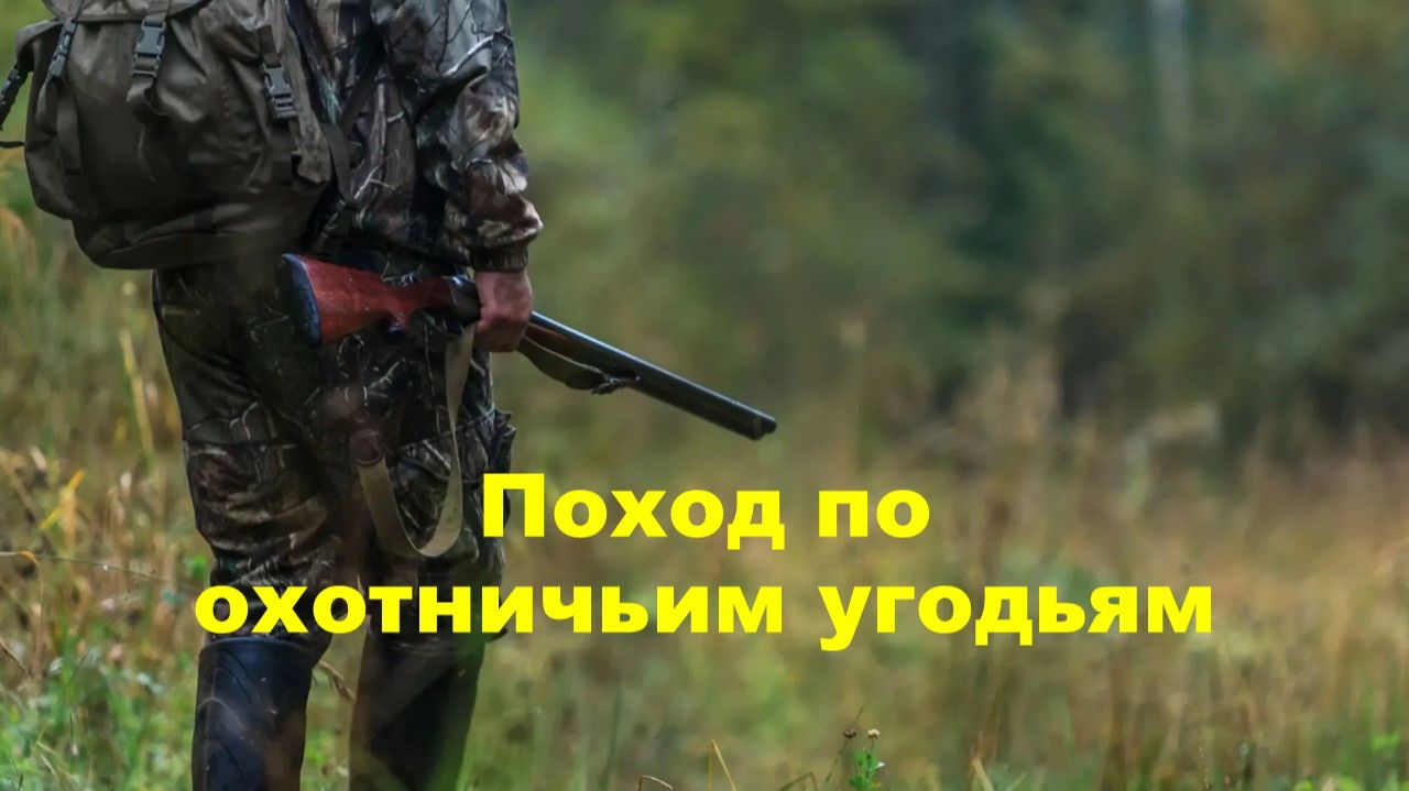 Походы, ПВД, Бушкрафт