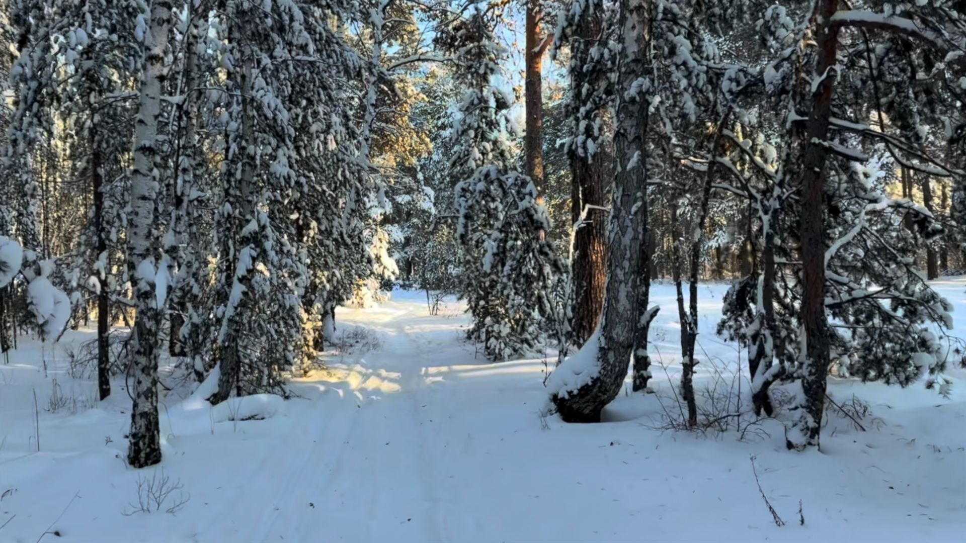 Прогулки