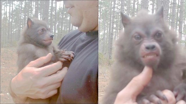 Нечто Необъяснимое Началось по Всему Миру