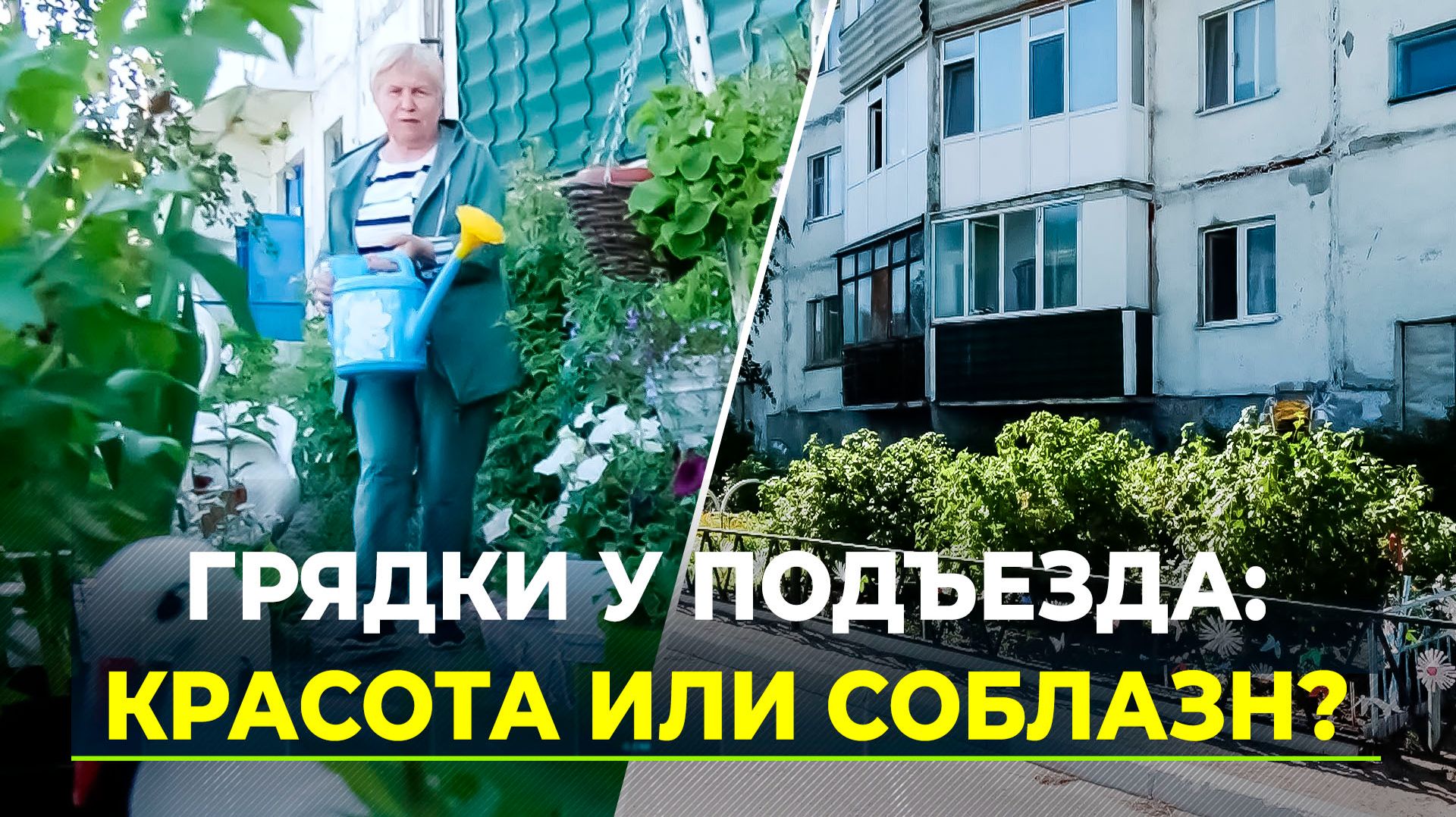 Урожай под окнами: как надымчане превращают дворы в маленькие огороды