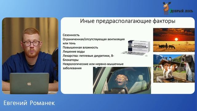 Клиника