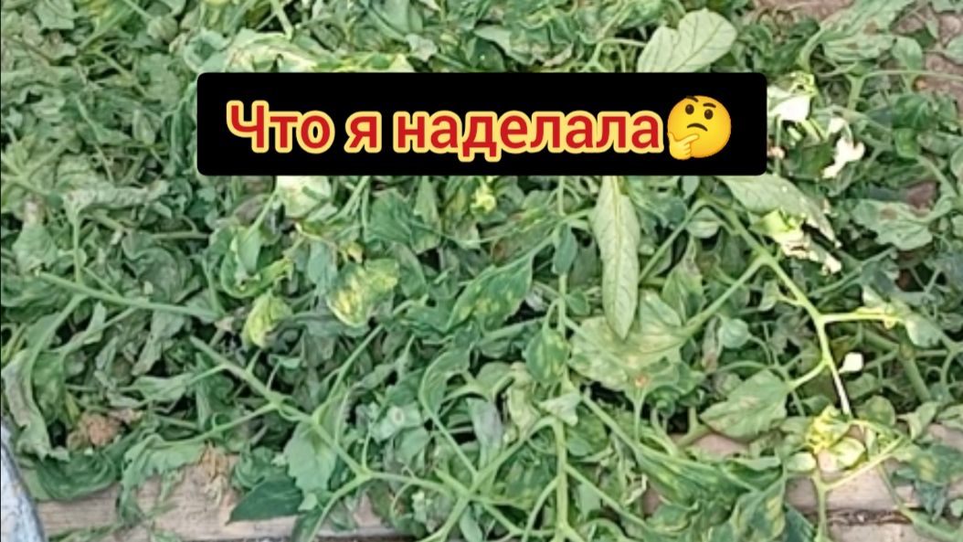 Что я НАДЕЛАЛА 🤔 21.07.26г