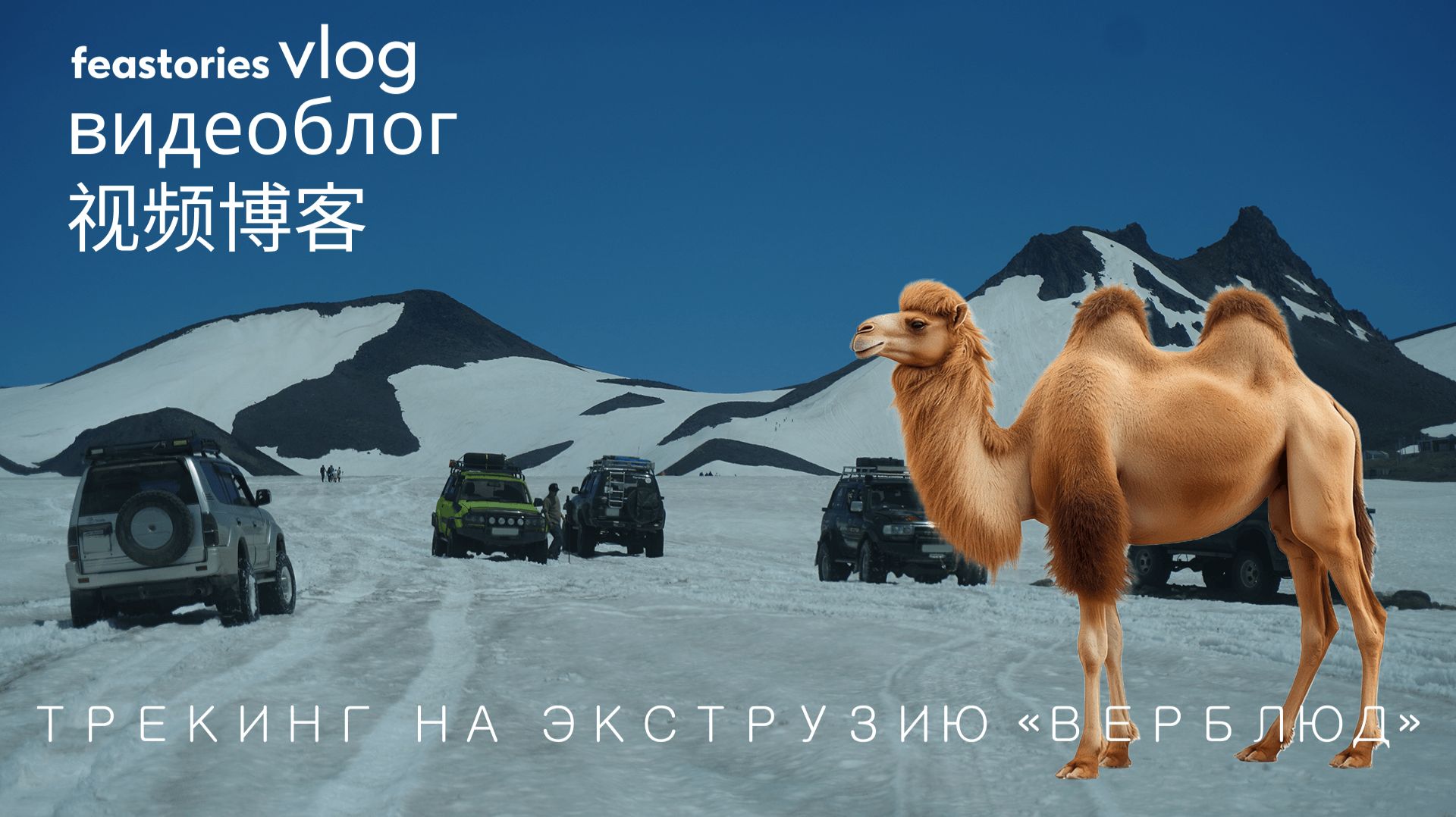 Видеоблог