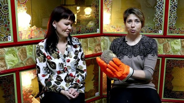 Проект «О зверях и птицах»