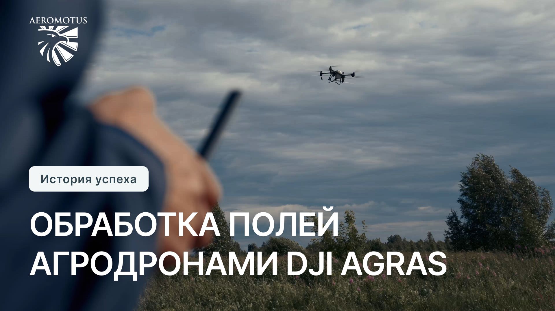Кейсы