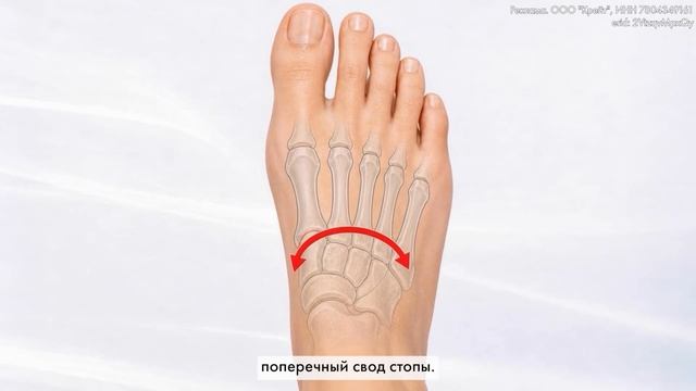 Ортопедические стельки