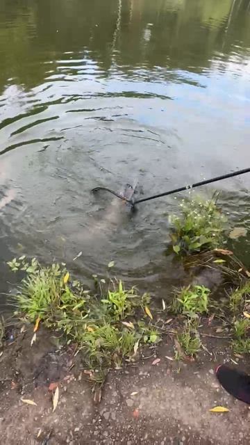 Трофейная рыба в ВОДОПАДЕ