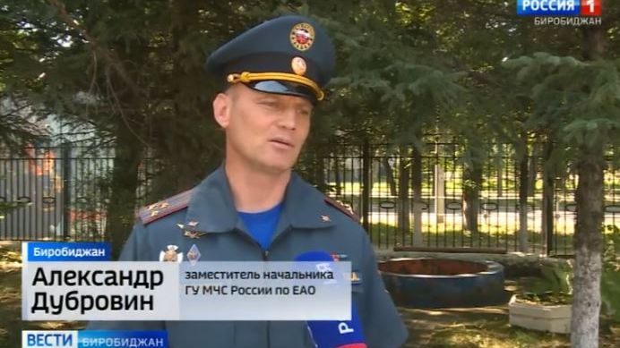 Видеосюжеты о повседневной деятельности