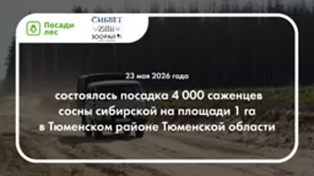 Благотворительность
