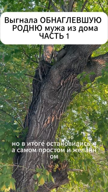 Выгнала обнаглевшую родню мужа из дома