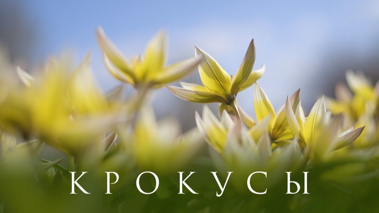 ПРИРОДА