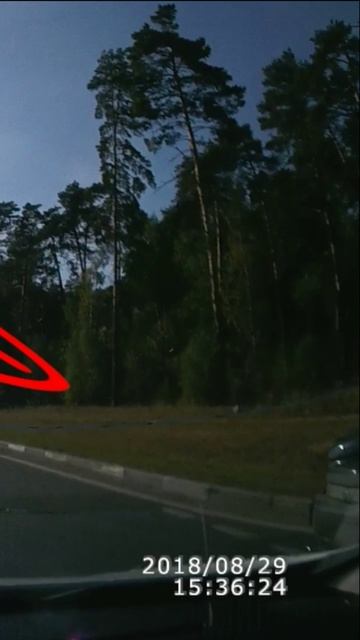 Записи с видеорегистратора.