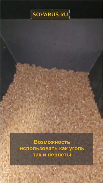 Шортс