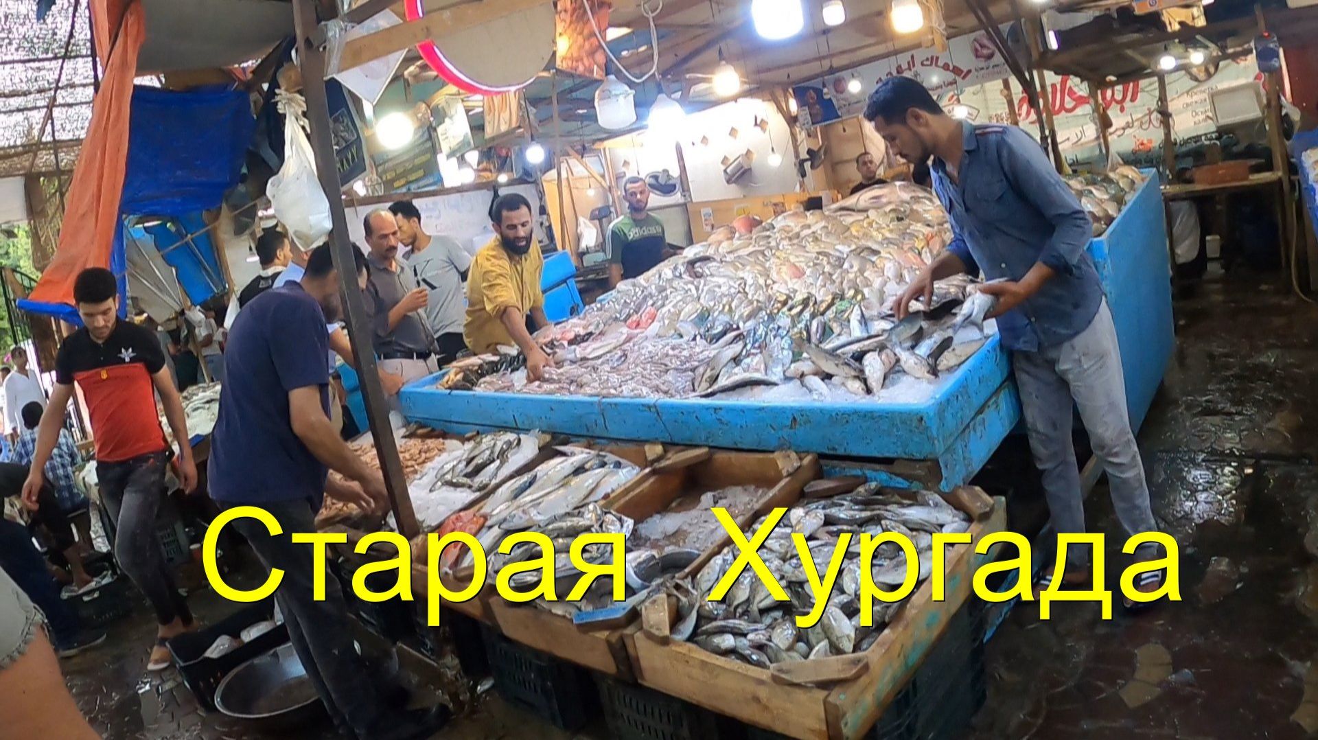 Египет