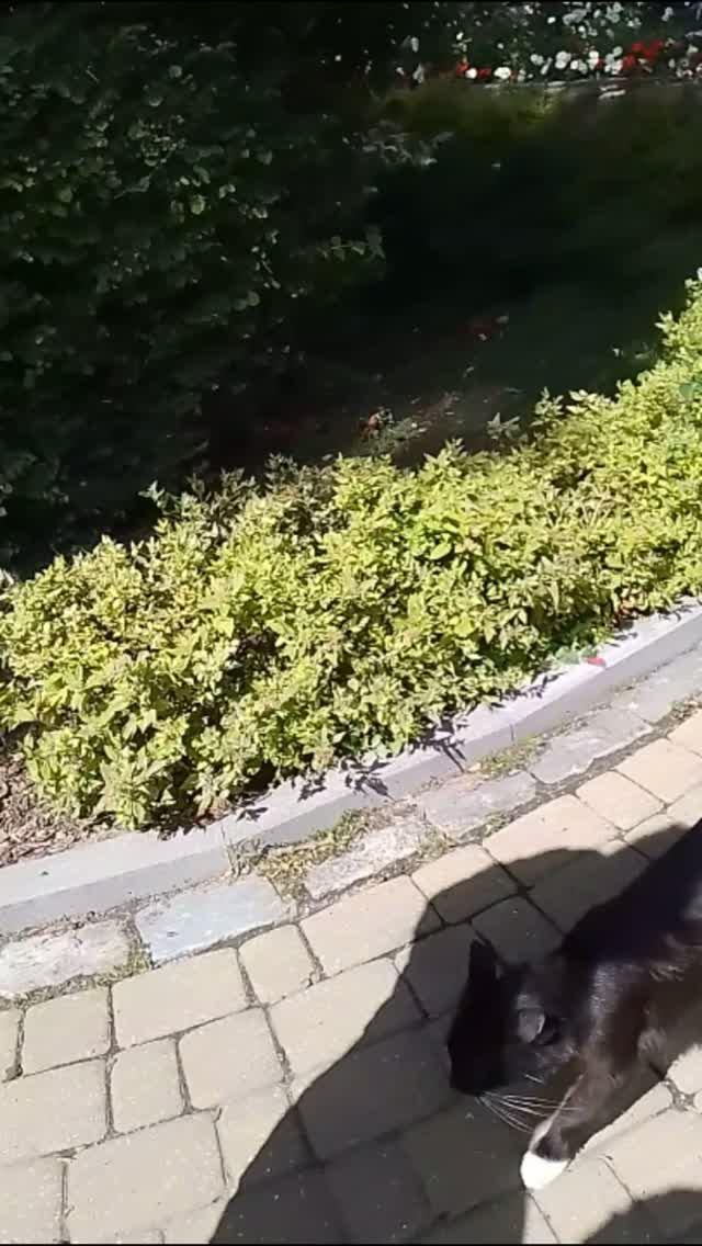 Калининград
