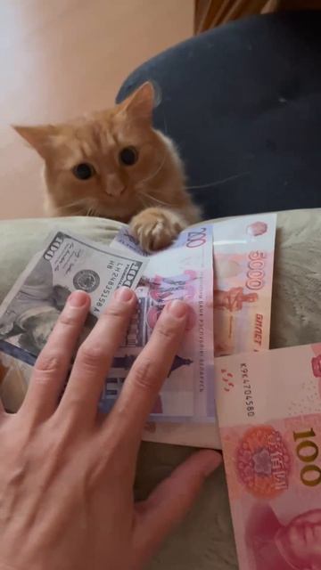Беларусь