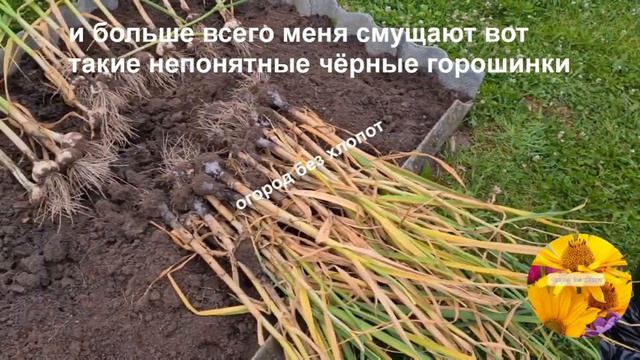 Полезные советы!