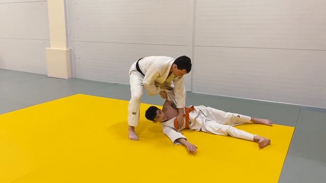 KODOKAN 100 tehnics