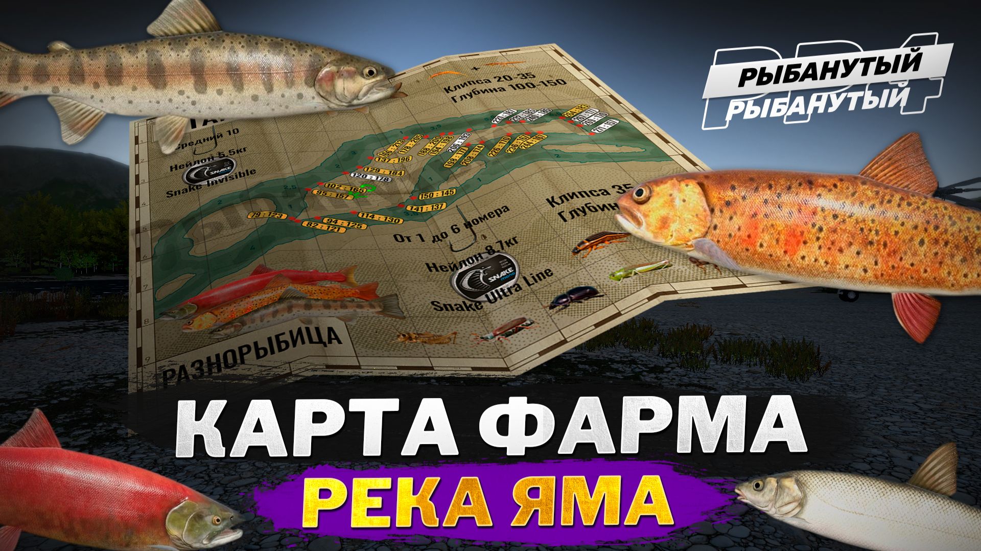 Гайды