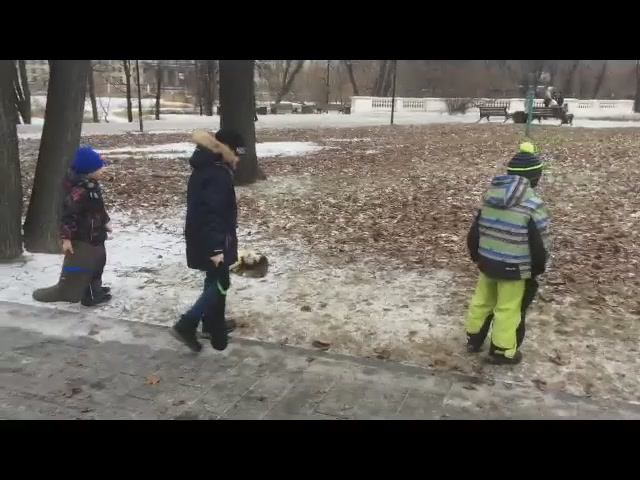 Метательный тир