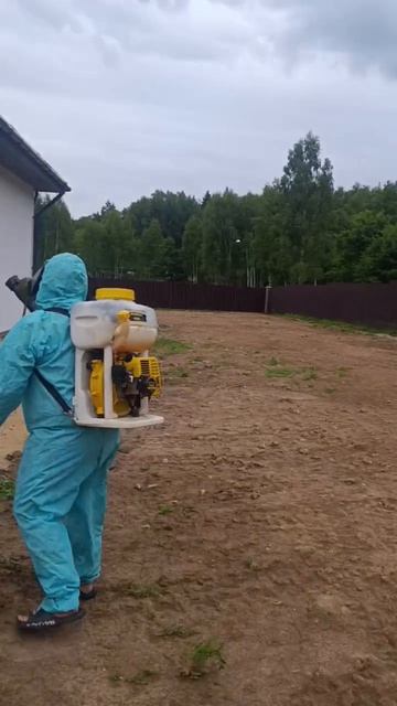 Уничтожение ос