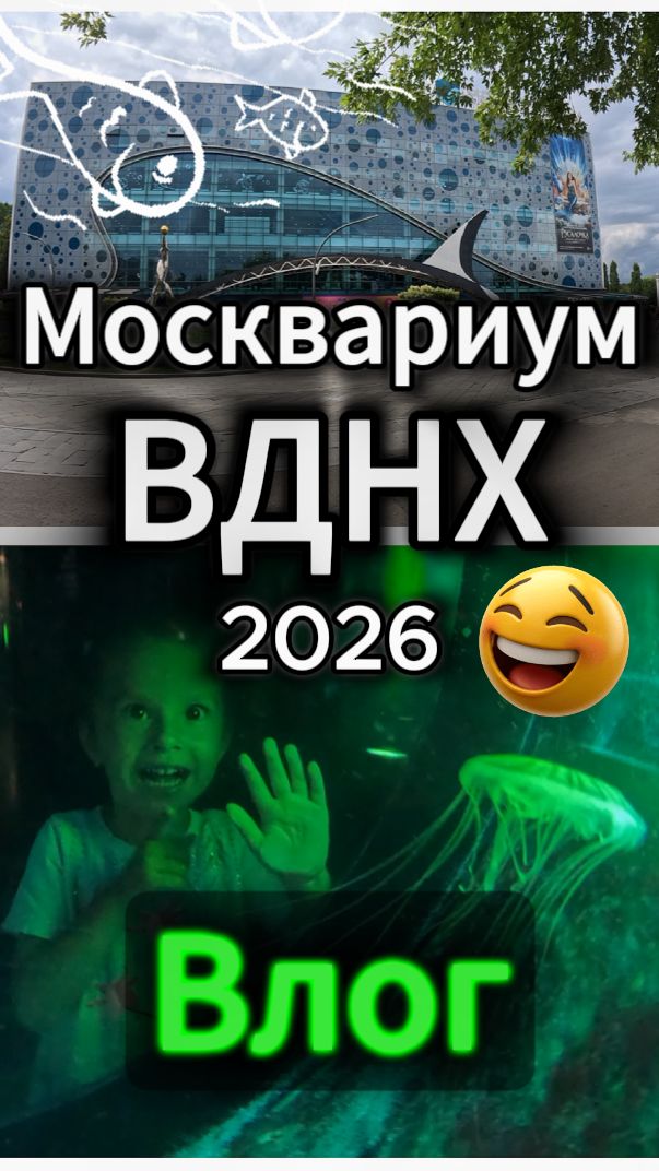 Влоги - Vlogs