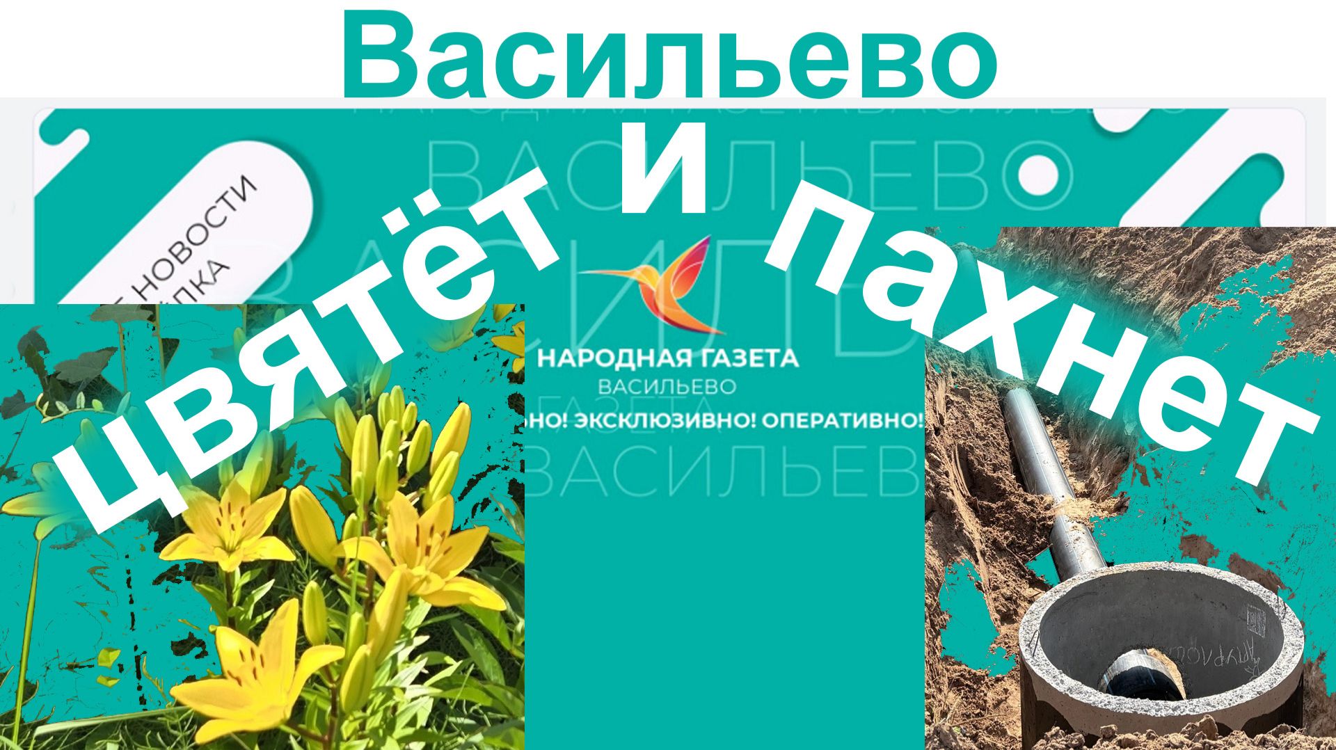 ЖКХ